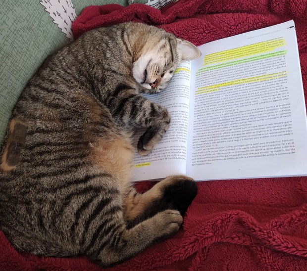 Si quieres finalizar la tesis doctoral: sigue las pistas del mapa del ...